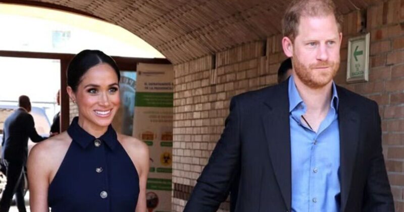 Prince Archie and Princess Lilibet! The story of Meghan Markle and Prince Harry's two children